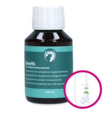 Excellent | Enerfit | Lam/Geit | 100 ml