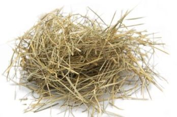 Veldbeemd Ongesneden – Per Vracht van Circa 16-18 Ton | Zelf Lossen